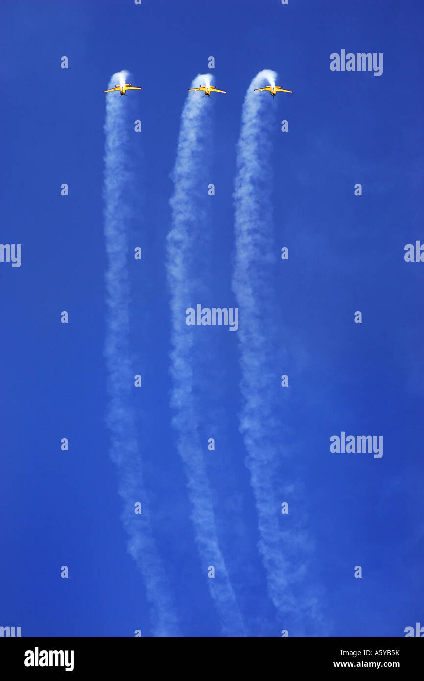 The RNZAF Red Checkers aerobatics team perform above Nelson in New ...