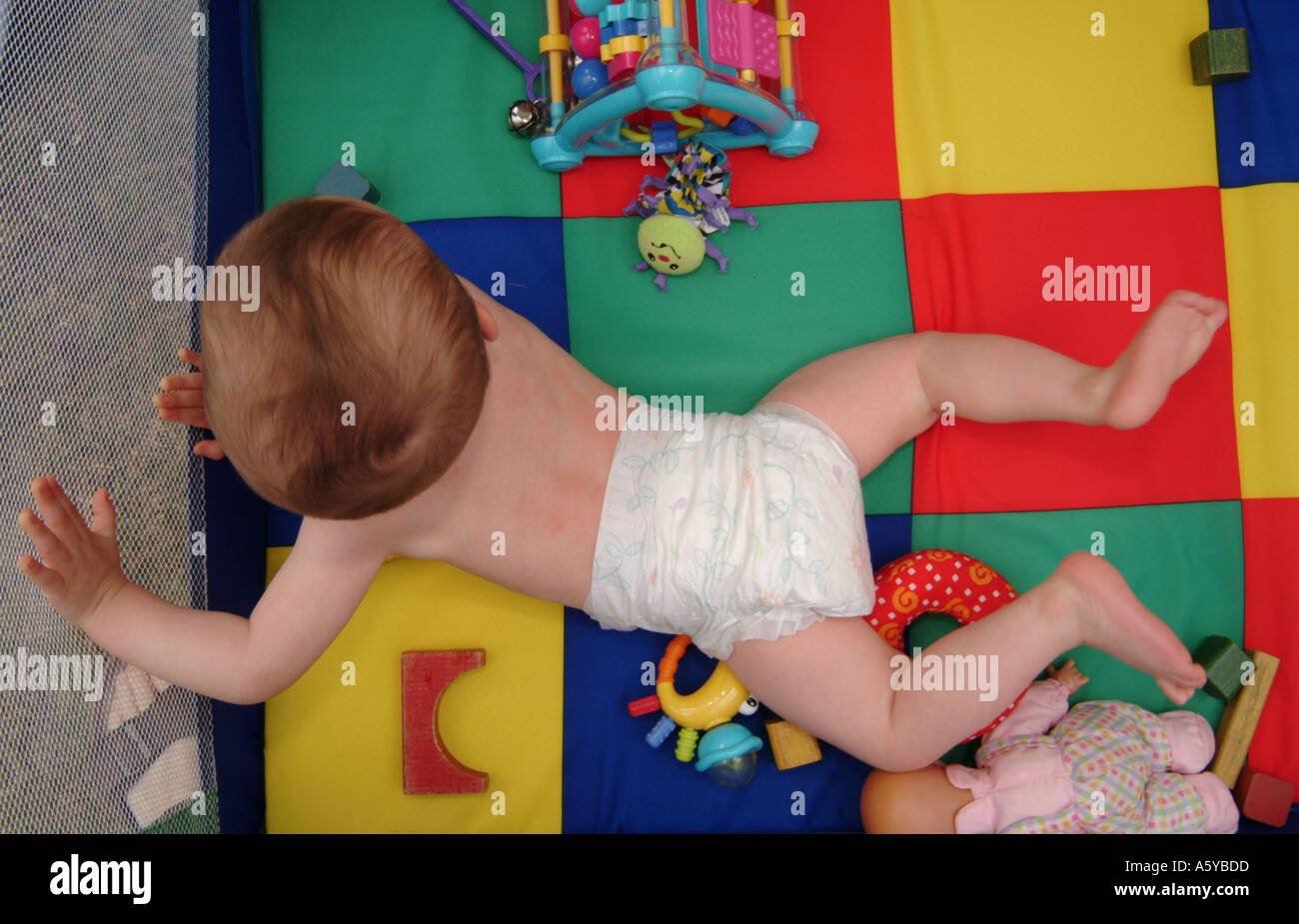 baby lying on her front in cot in a nappy Stock Photo - Alamy