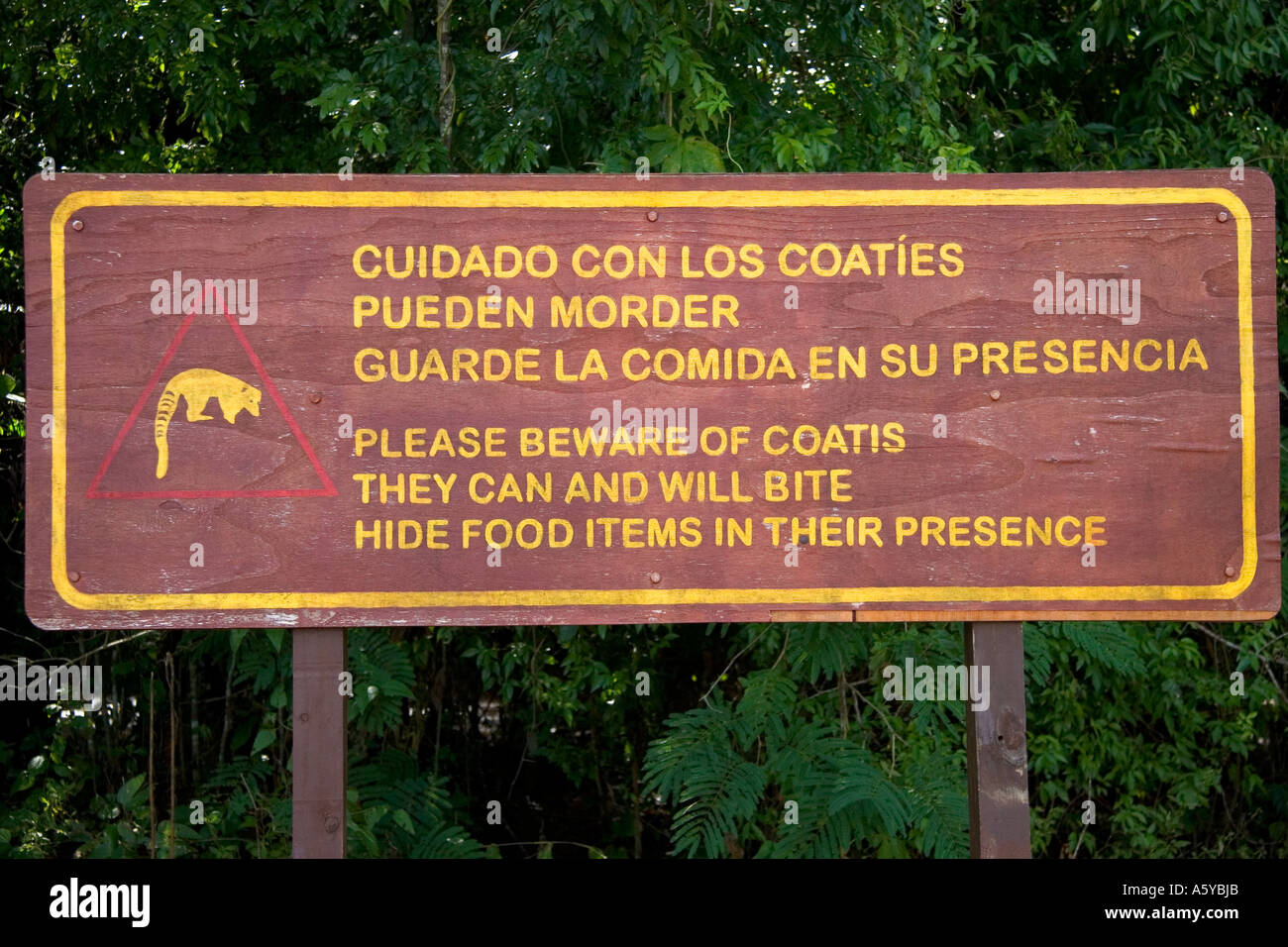 A sign warning of coatis at Iguazu Falls, Argentina Stock Photo - Alamy