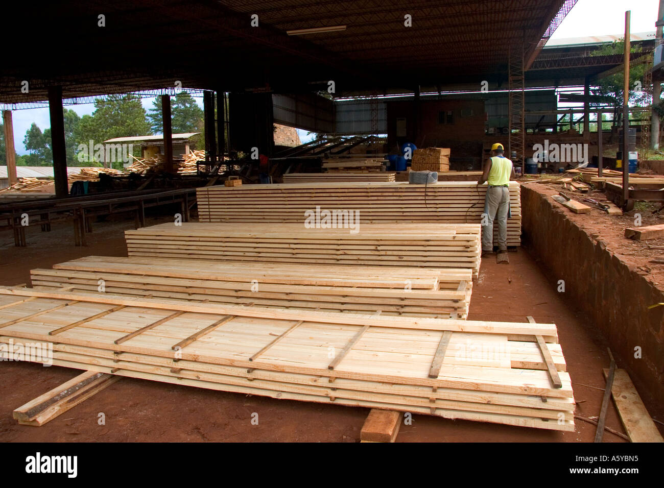 Sawmill lumber hi-res stock photography and images - Alamy