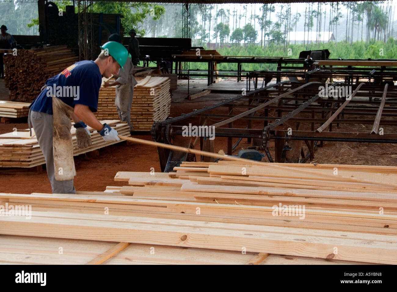 Sorting sawmill hi-res stock photography and images - Alamy