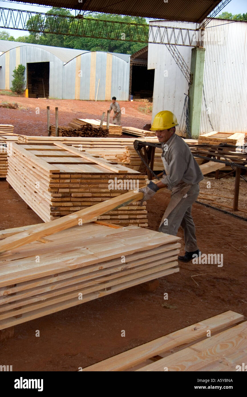 Sorting sawmill hi-res stock photography and images - Alamy