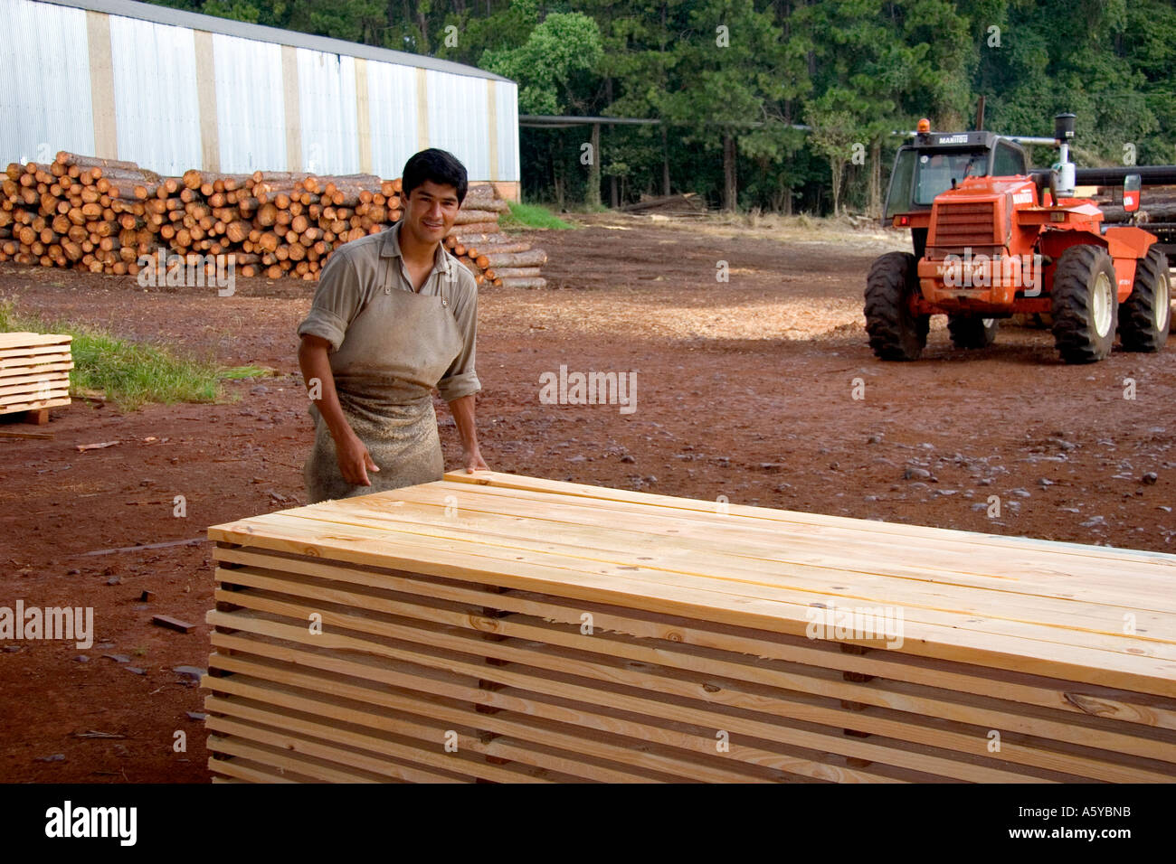 Sorting sawmill hi-res stock photography and images - Alamy