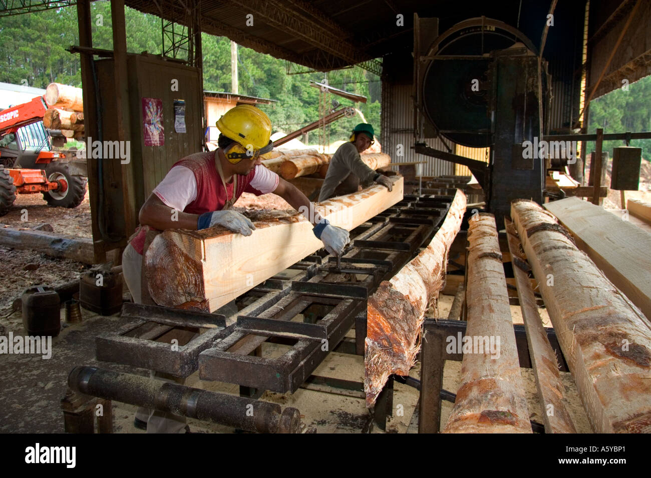 Saw mill worker hi-res stock photography and images - Alamy