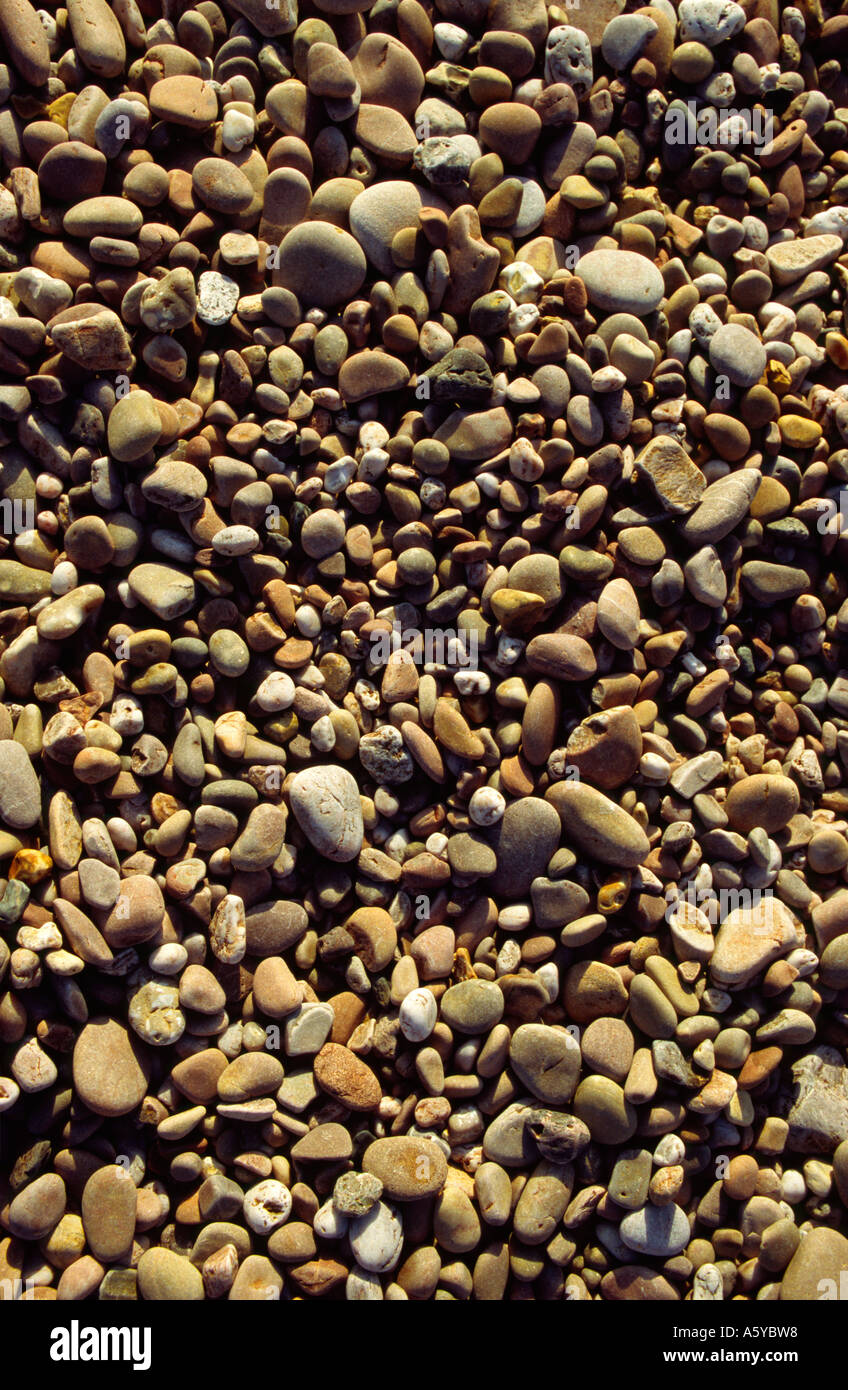 Pebbles on a beach in Sidmouth Devon England Stock Photo - Alamy