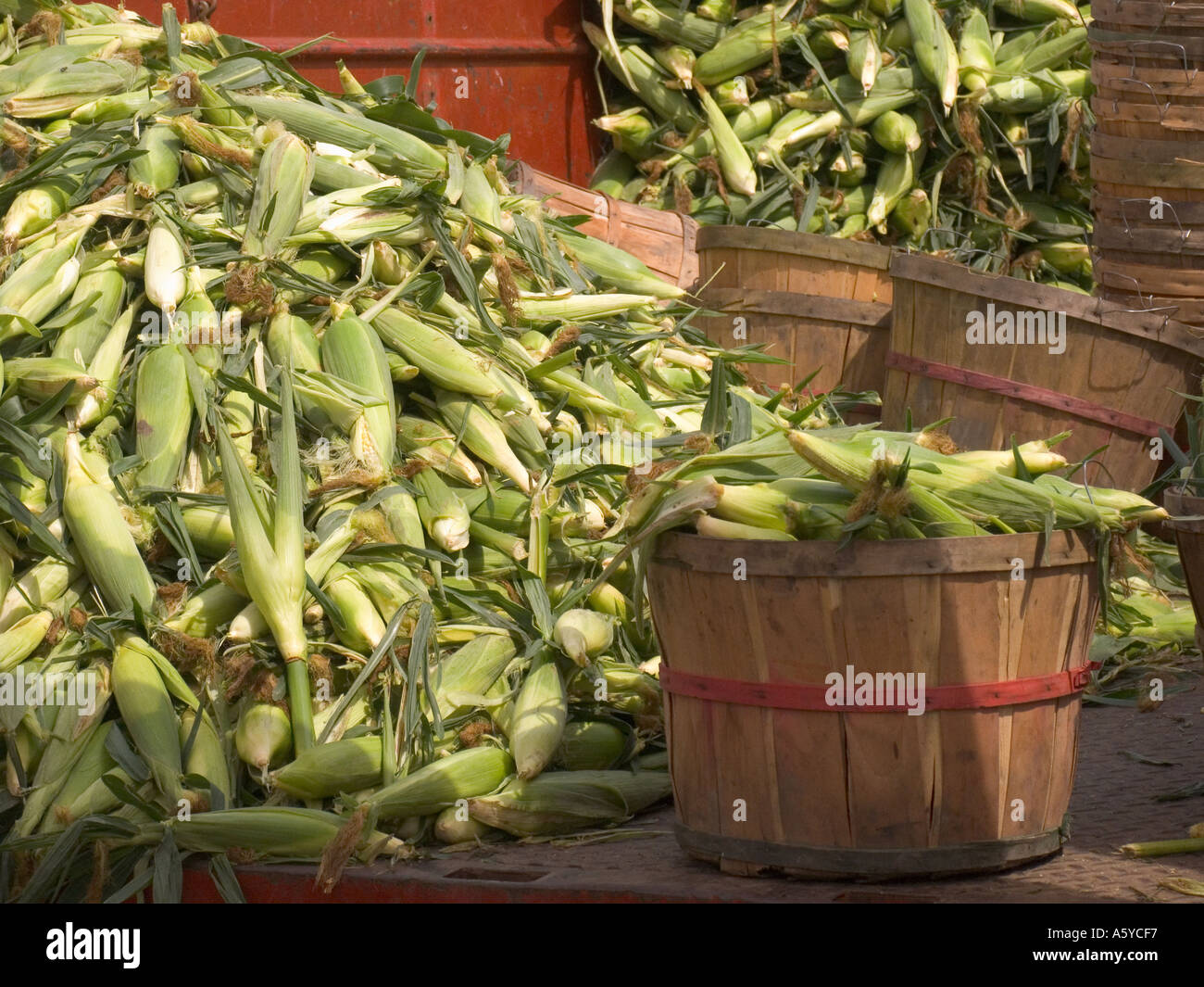 Bushels corn hi-res stock photography and images - Alamy