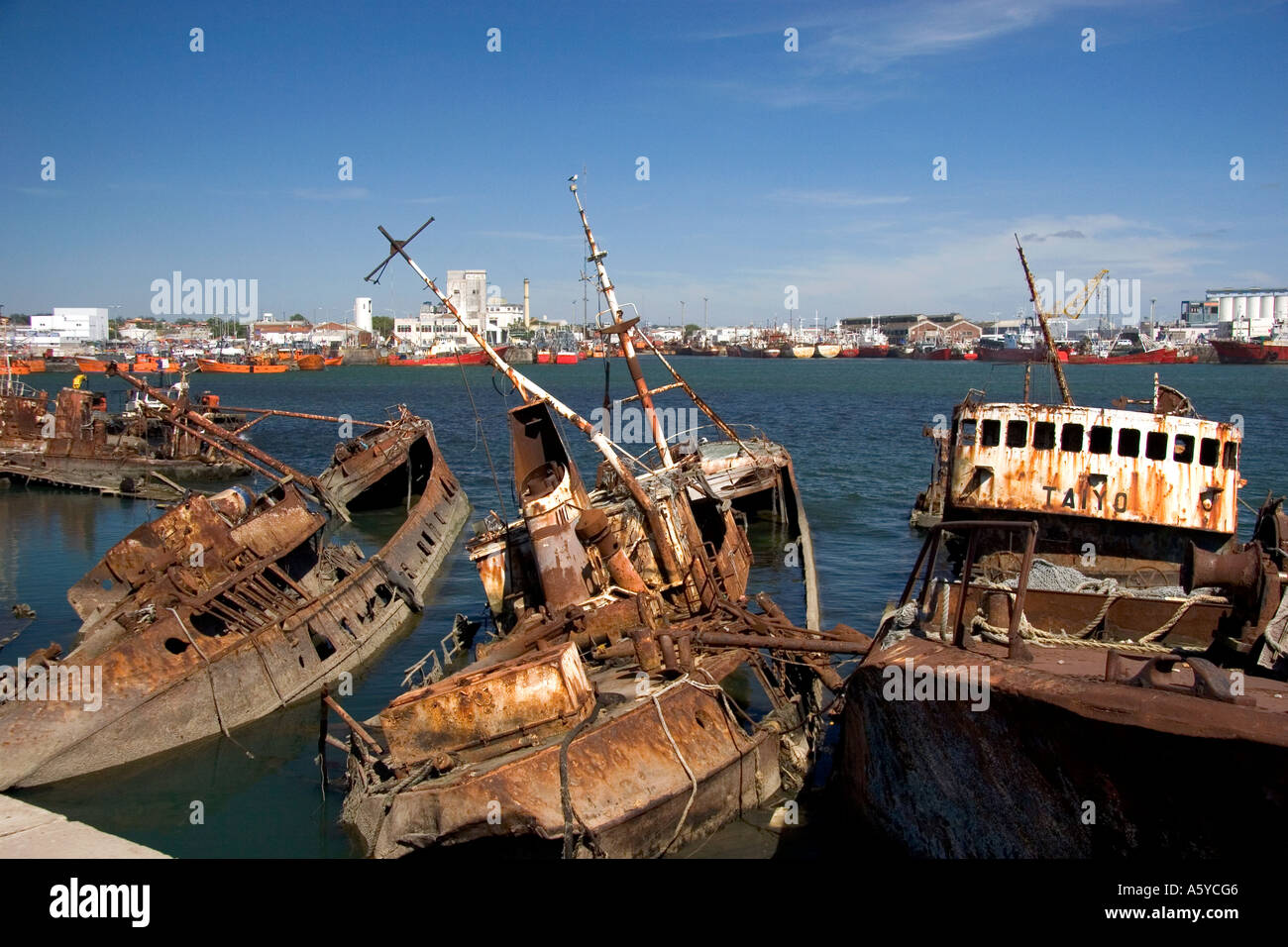 Junk fishing boats rust in the water at Puerto Faro, Mar del Plata ...