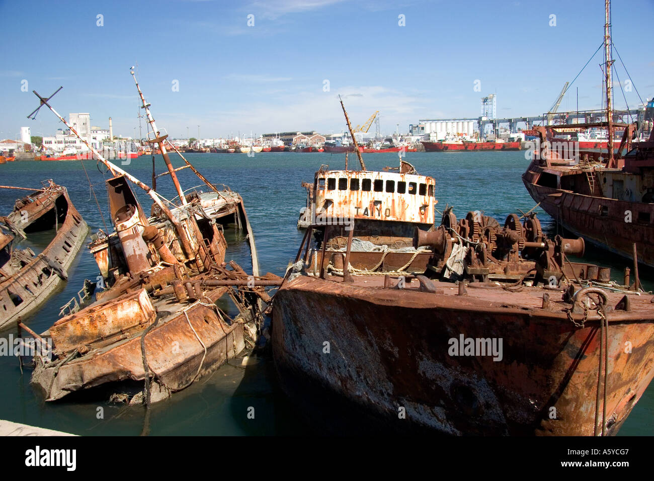 Junk fishing boats rust in the water at Puerto Faro, Mar del Plata ...