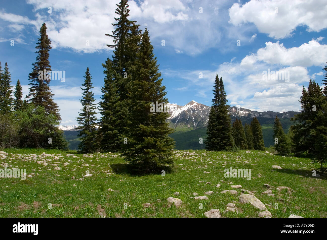 Scenic landscape at 10 000 feet Crested Butte CO Stock Photo - Alamy