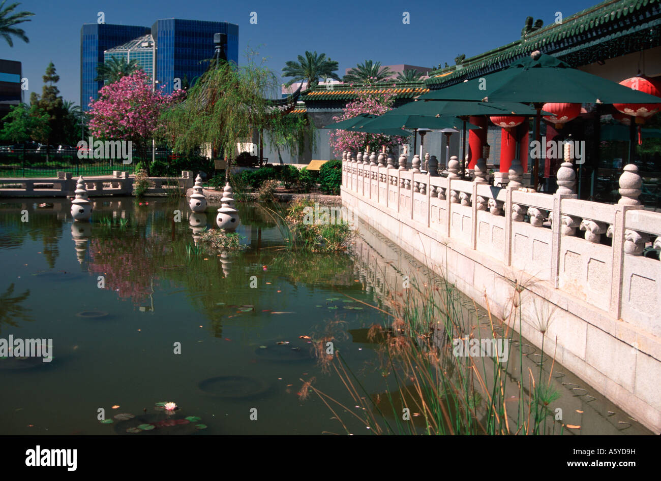 Phoenix center china hi-res stock photography and images - Alamy