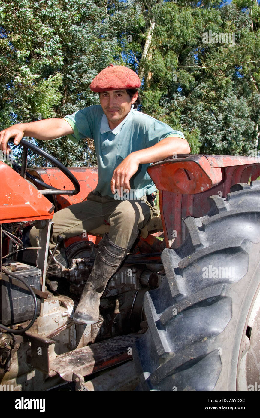 Argentine farmer riding a tractor, Argentina Stock Photo - Alamy