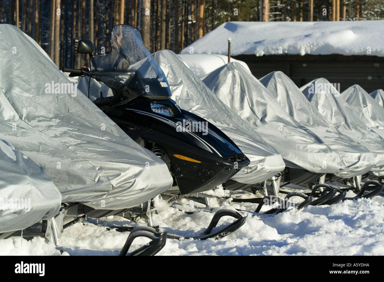covered snow mobiles in a row Stock Photo - Alamy