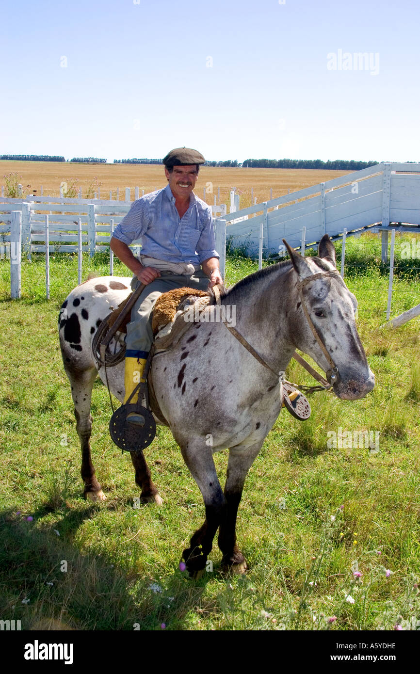 Gaucho cowboys on horseback near Necochea, Argentina Stock Photo - Alamy