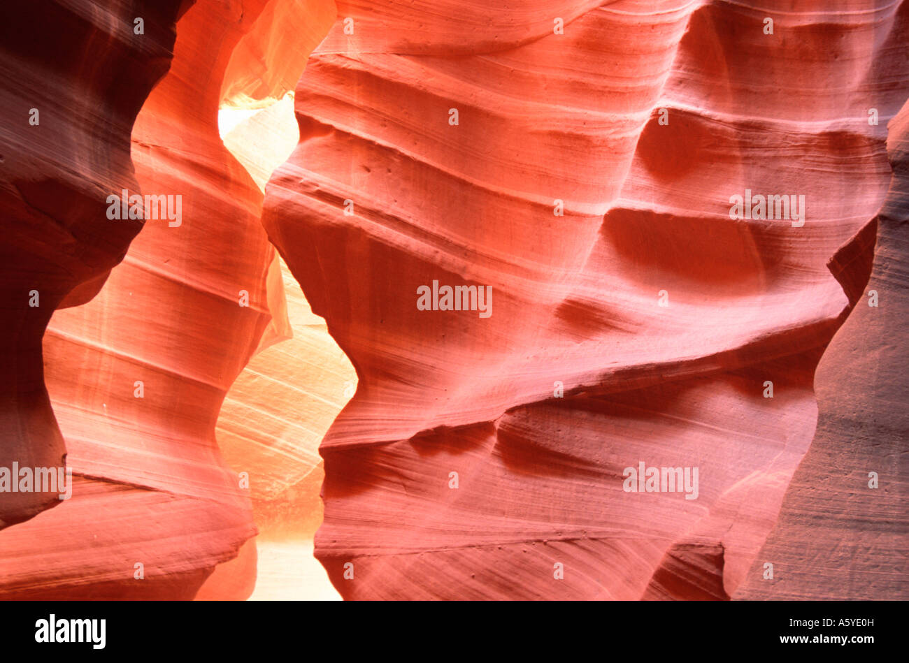 Corkscrew with character hi-res stock photography and images - Alamy