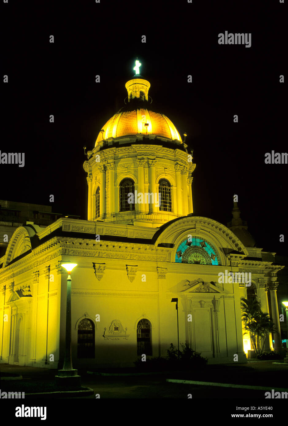 Paraguay City At Night