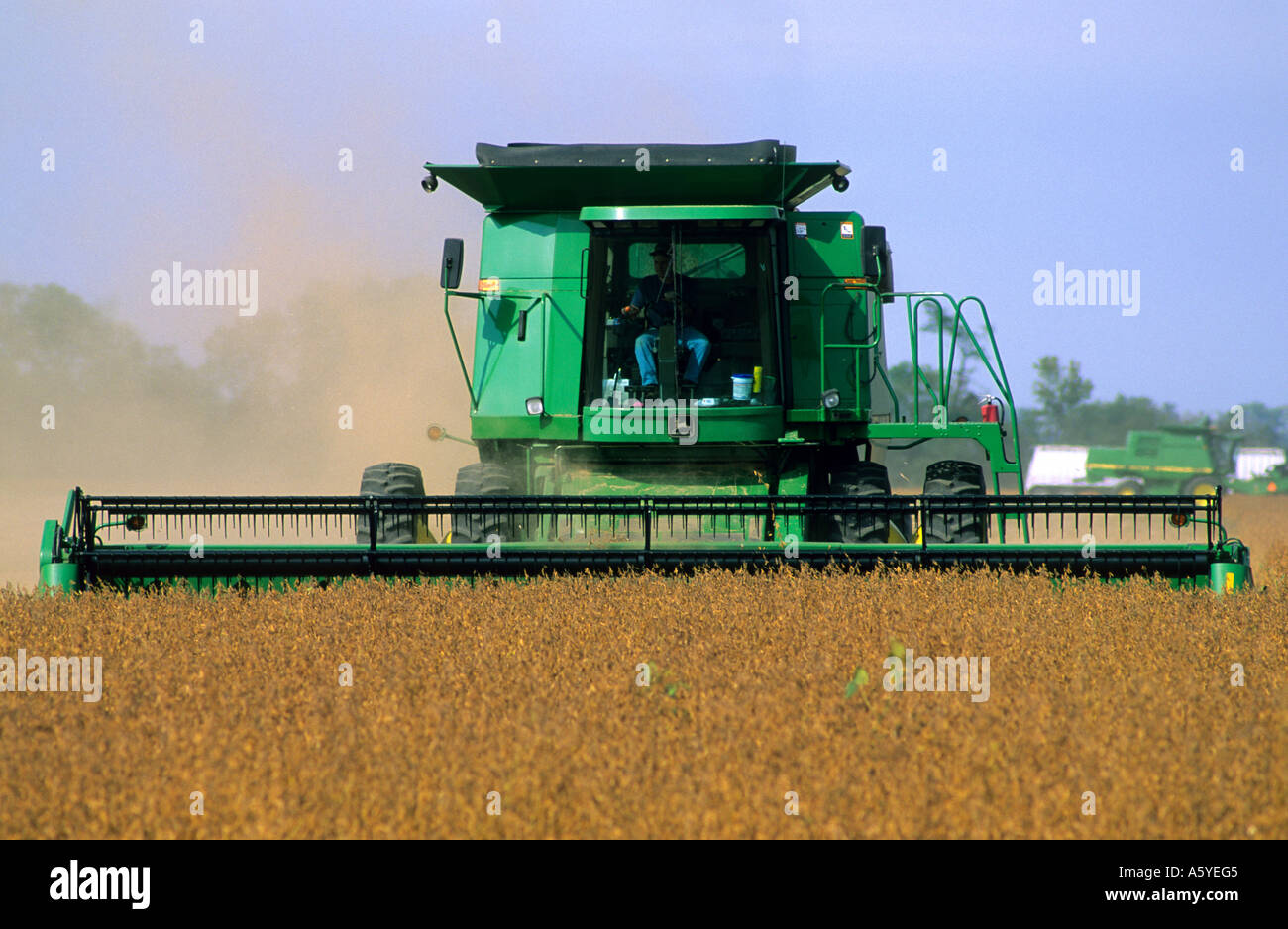 Soybean harvest in Indiana Stock Photo - Alamy