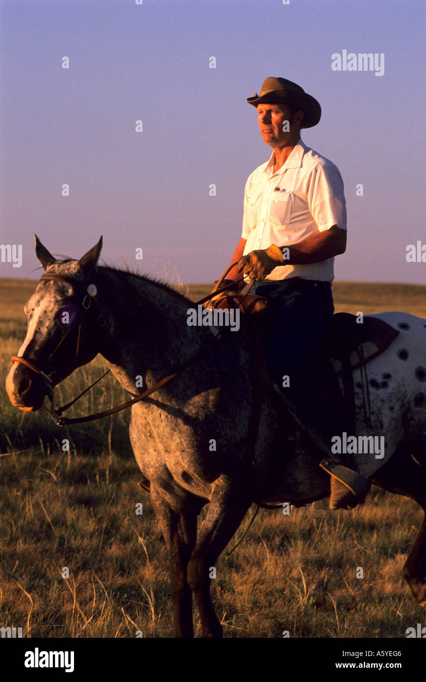 Wyoming rancher Buck Holmes Stock Photo - Alamy