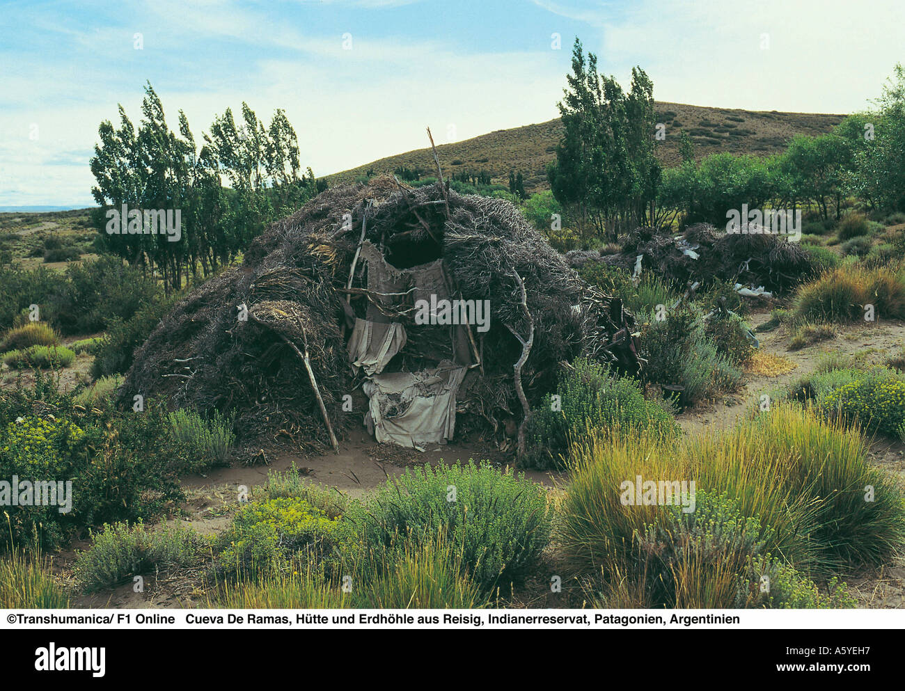 Man made caves surrounded by bushes, Cueva De Ramas, Patagonia ...