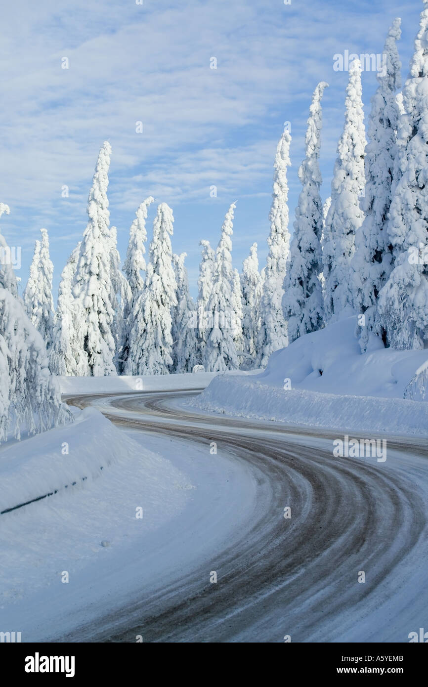Curvy road in snowy forest, Vuokatti Sotkamo Finland Stock Photo - Alamy