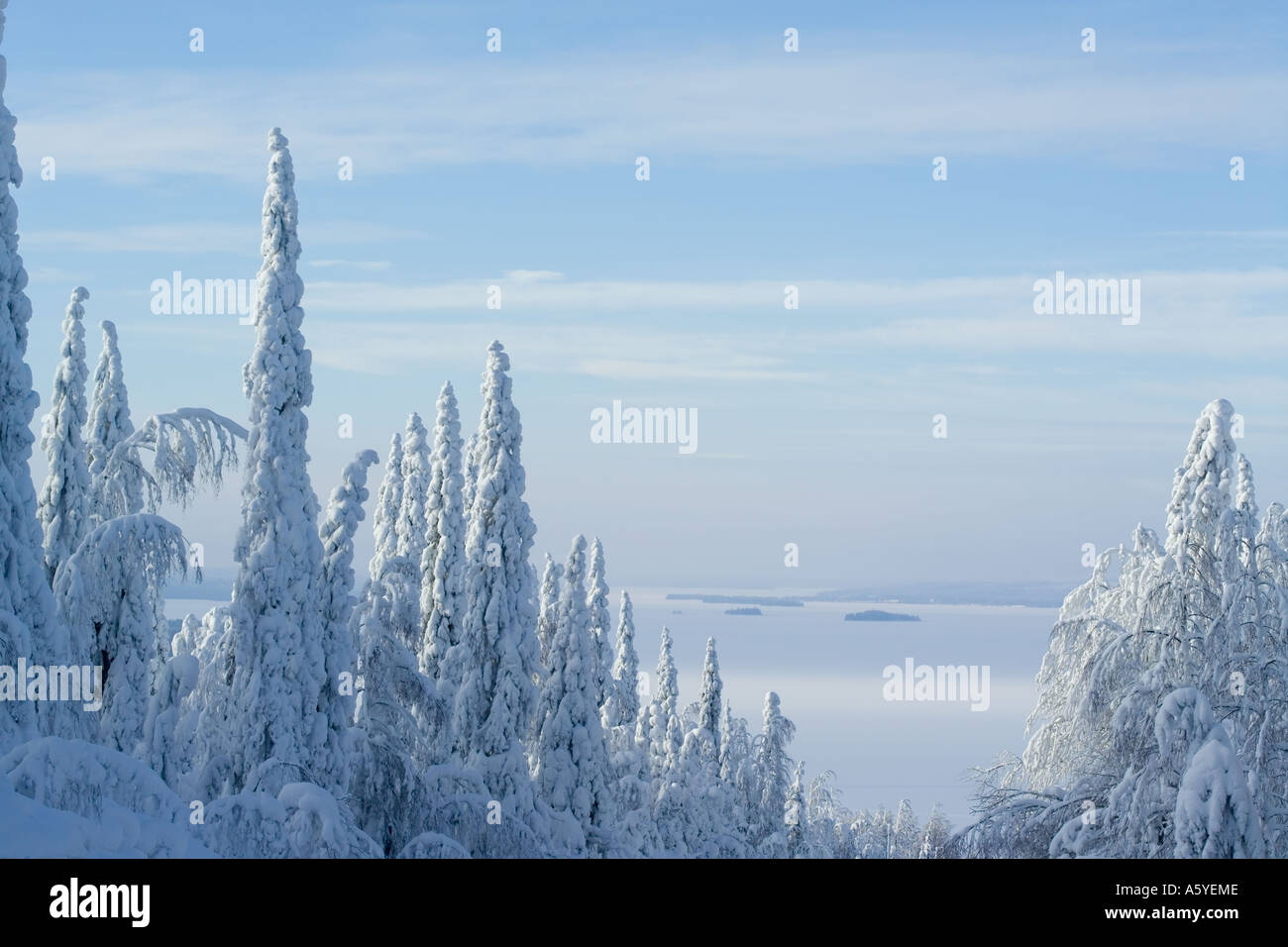 Vuokatti sotkamo finland hi-res stock photography and images - Alamy