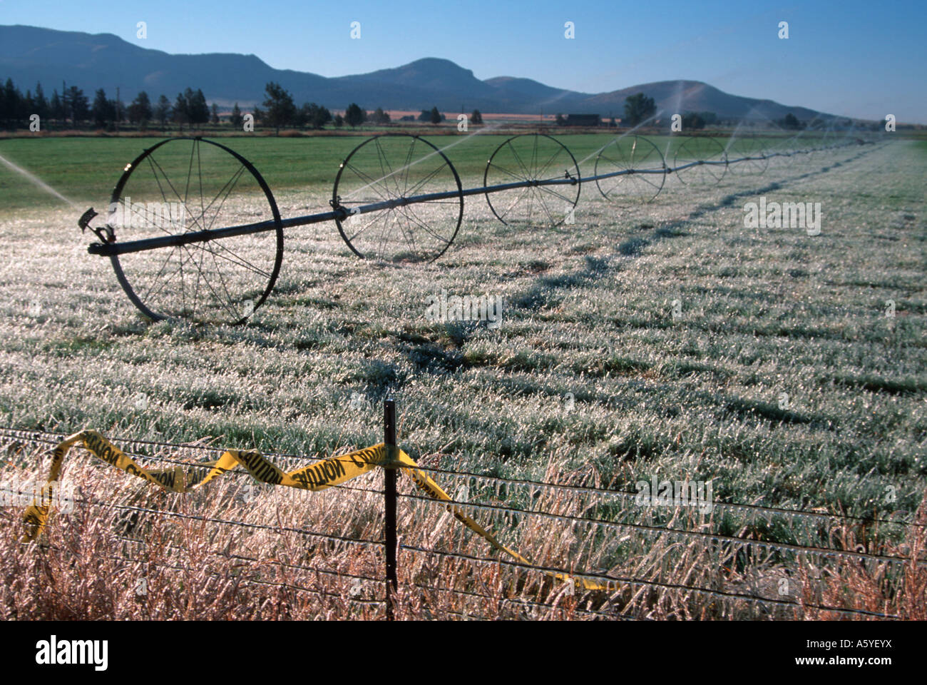 Seeding alfalfa hi-res stock photography and images - Alamy