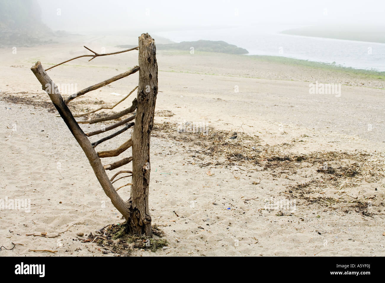 Driftwood sculpture in sand on beach at Wonwell South Devon UK Stock ...