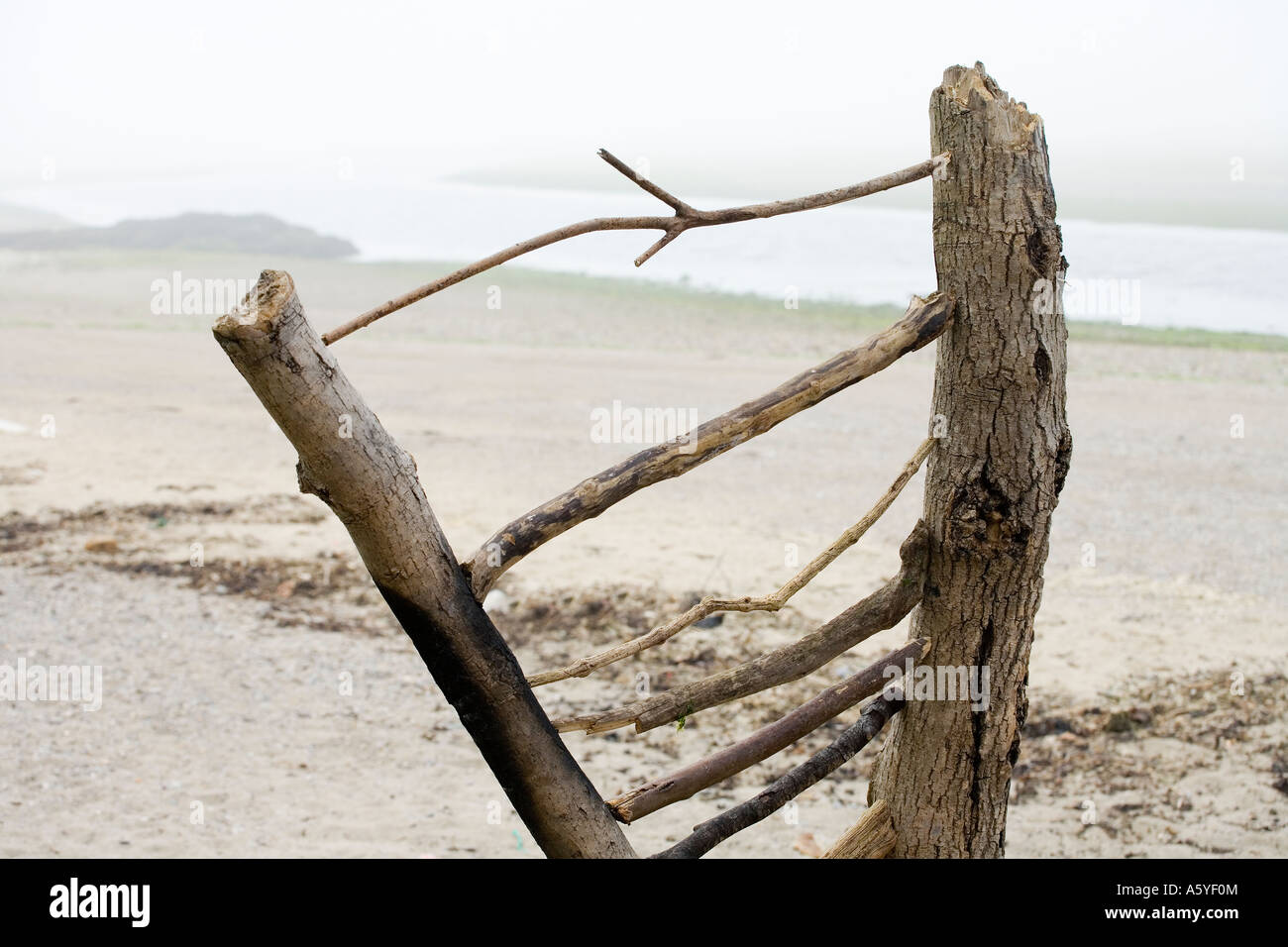 Driftwood sculpture in sand on beach at Wonwell South Devon UK Stock ...