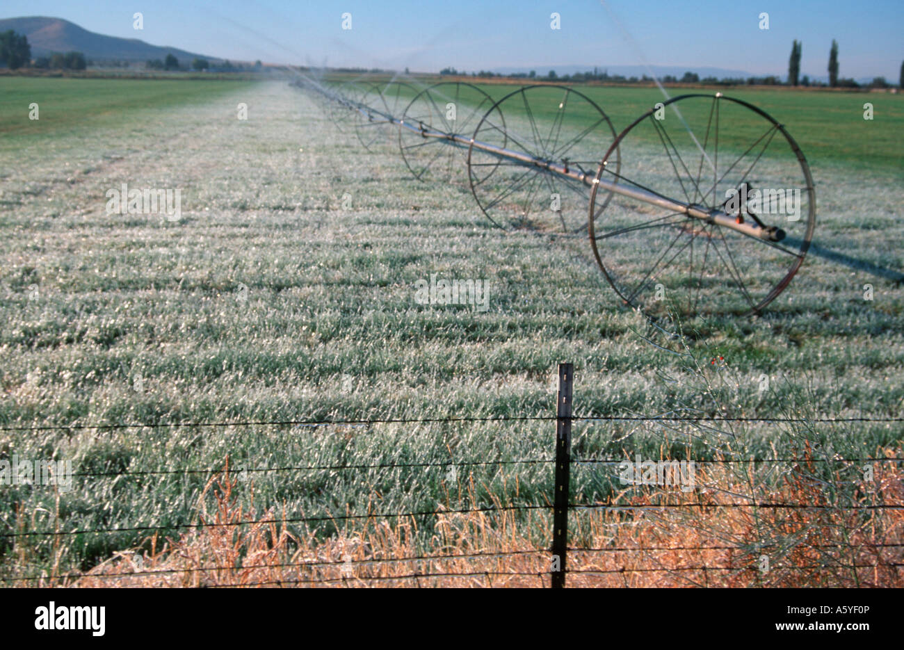Agriculture harvesting gleaning hi-res stock photography and images - Alamy