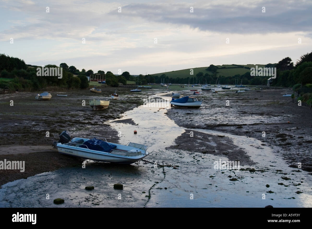 Low tide in Salcombe estuary at Frogmore South Devon Uk Stock Photo - Alamy