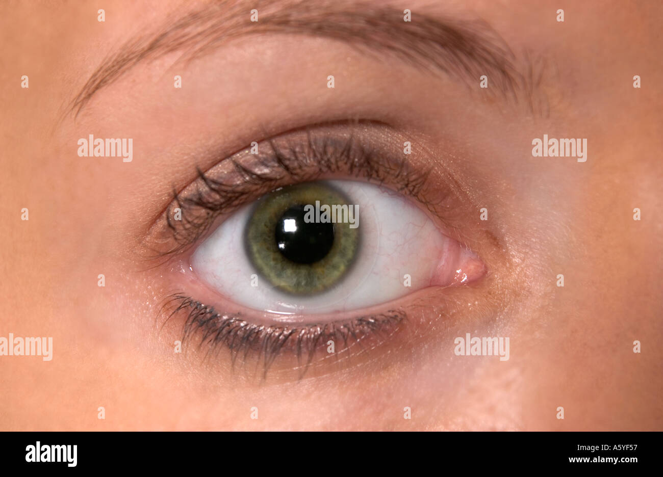 Rayleigh scattering hi-res stock photography and images - Alamy