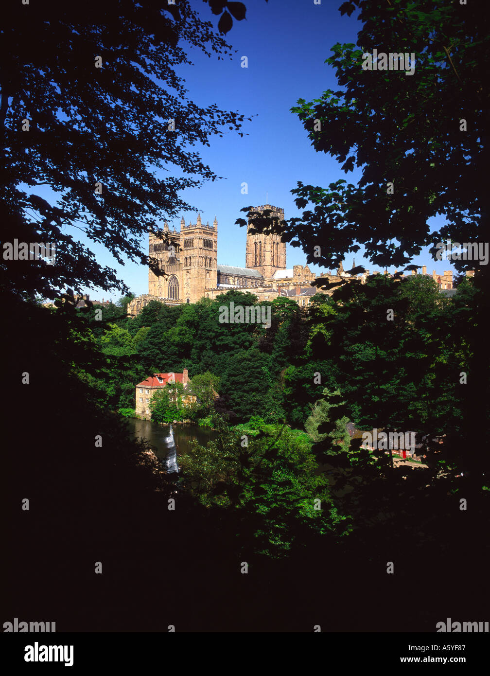 Uk england durham cathedral hi-res stock photography and images - Alamy