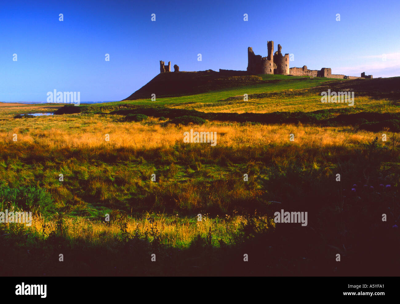 Dunstanburgh Castle Northumberland England Stock Photo - Alamy