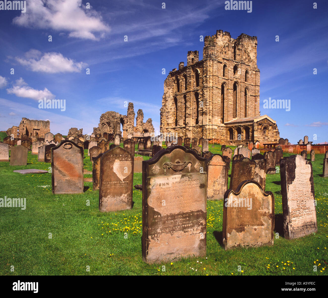 Tynemouth Priory and Castle Tyne and Wear England Stock Photo - Alamy