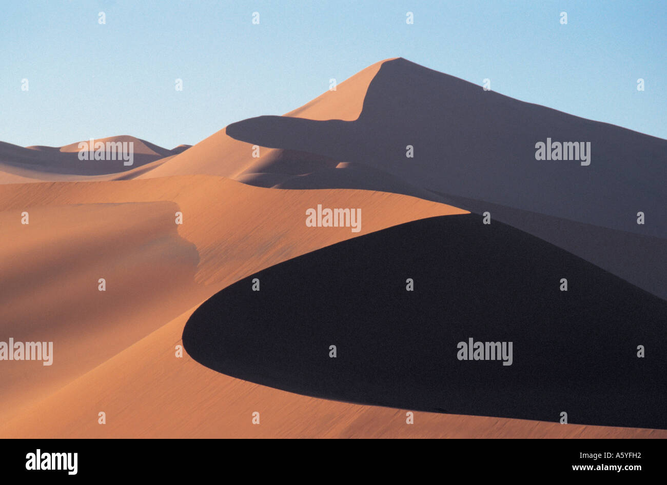 Sand dunes in desert, Namib-Naukluft National Park, Namib Desert ...
