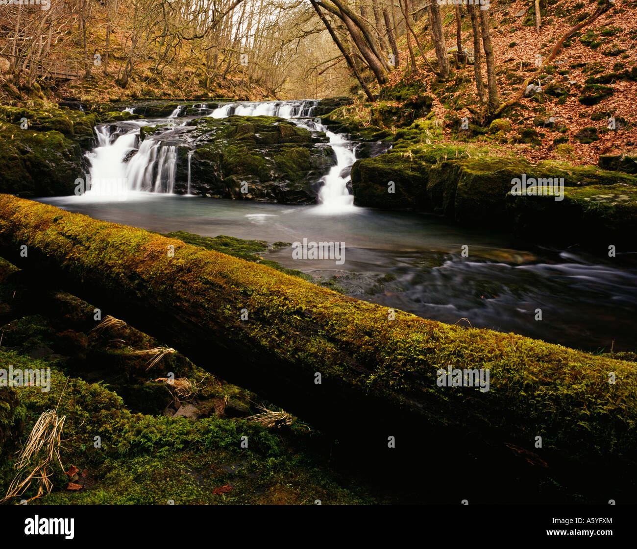Neath valley waterfalls hi-res stock photography and images - Alamy