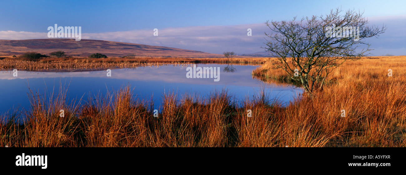 Broad Pool, Cefn Bryn, Gower Peninsula, South Wales, UK Stock Photo - Alamy