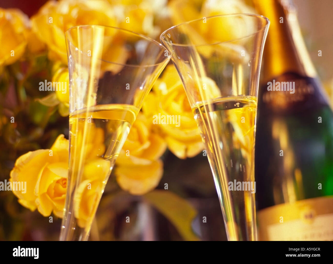 clinking two glasses champagne cups filled with sparkling wine ...