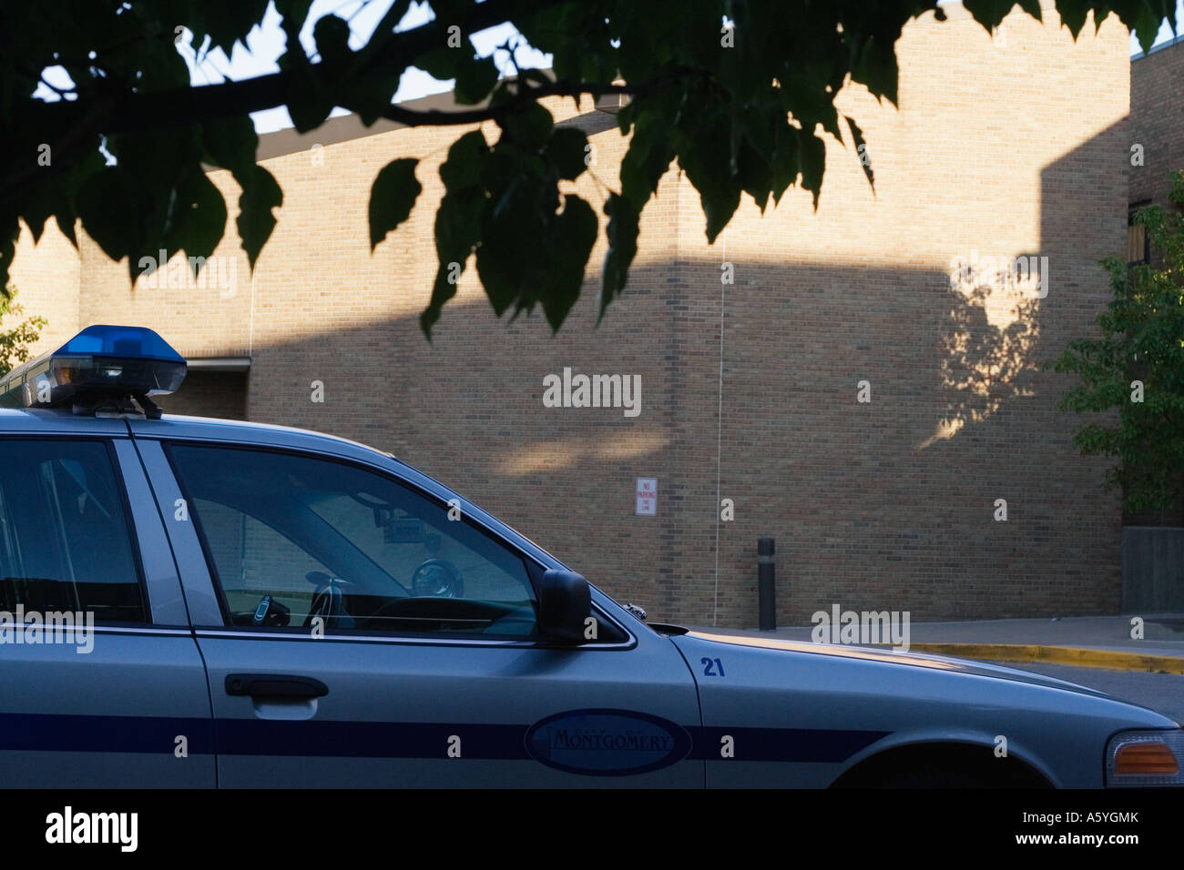 View of a police car in no-parking zone Stock Photo - Alamy