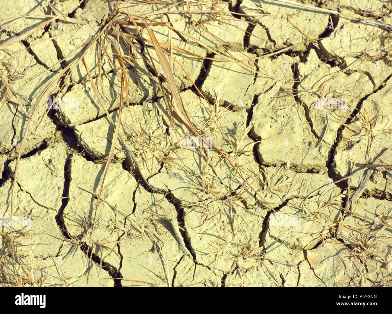 Cracks breaks hi-res stock photography and images - Alamy