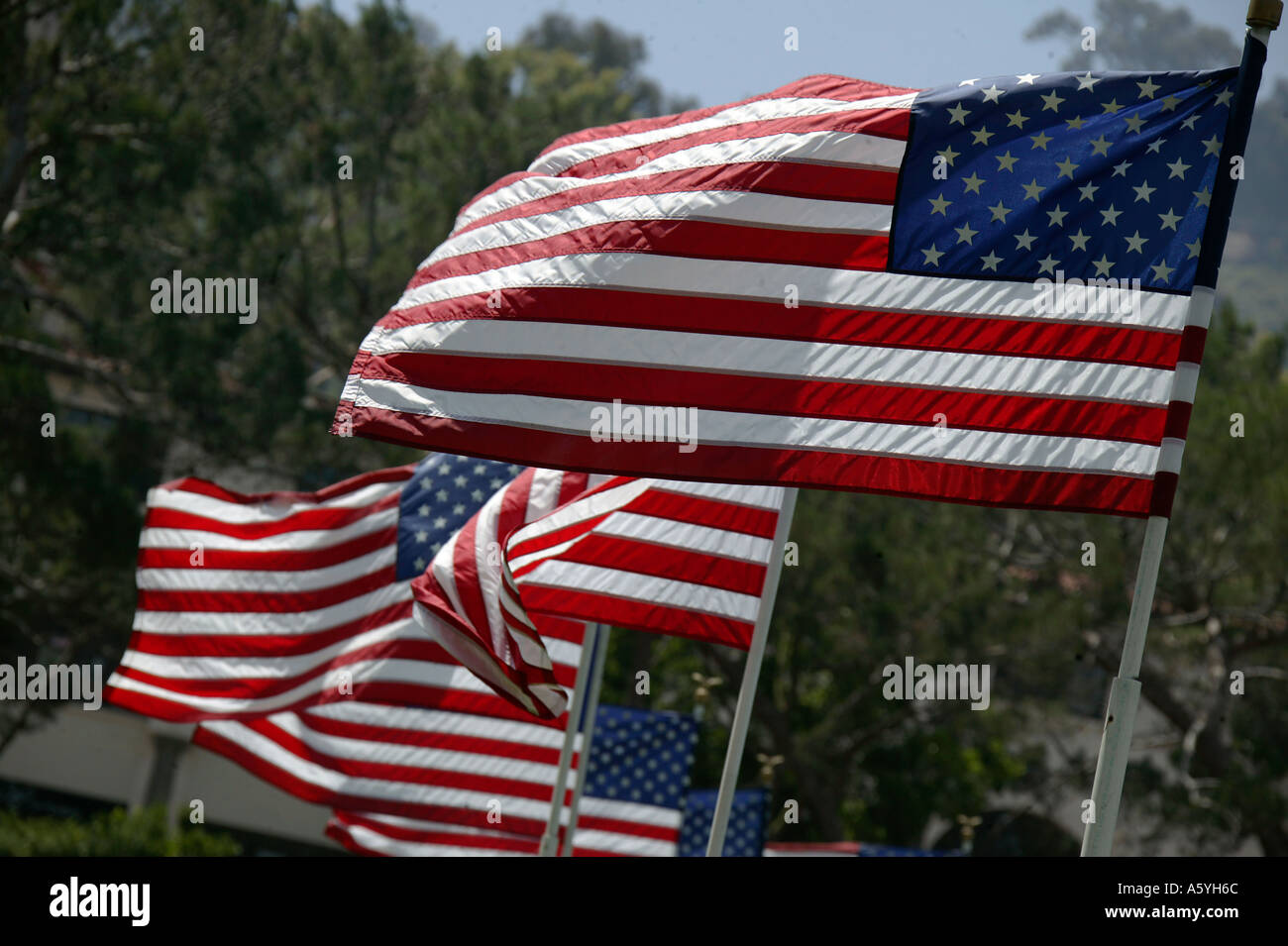 American flags stars on hi-res stock photography and images - Alamy