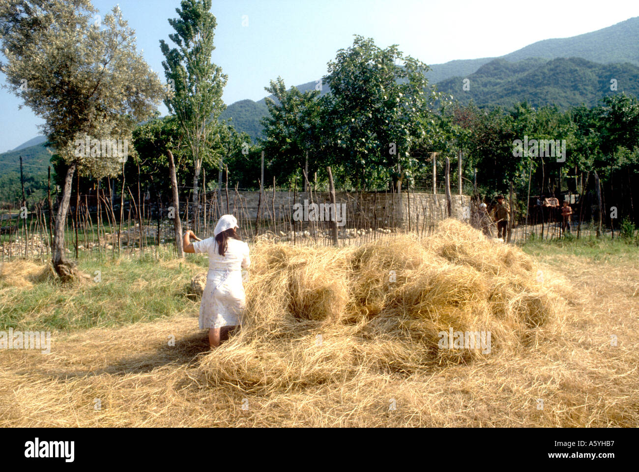 Farm Workers Albania Stock Photo - Alamy