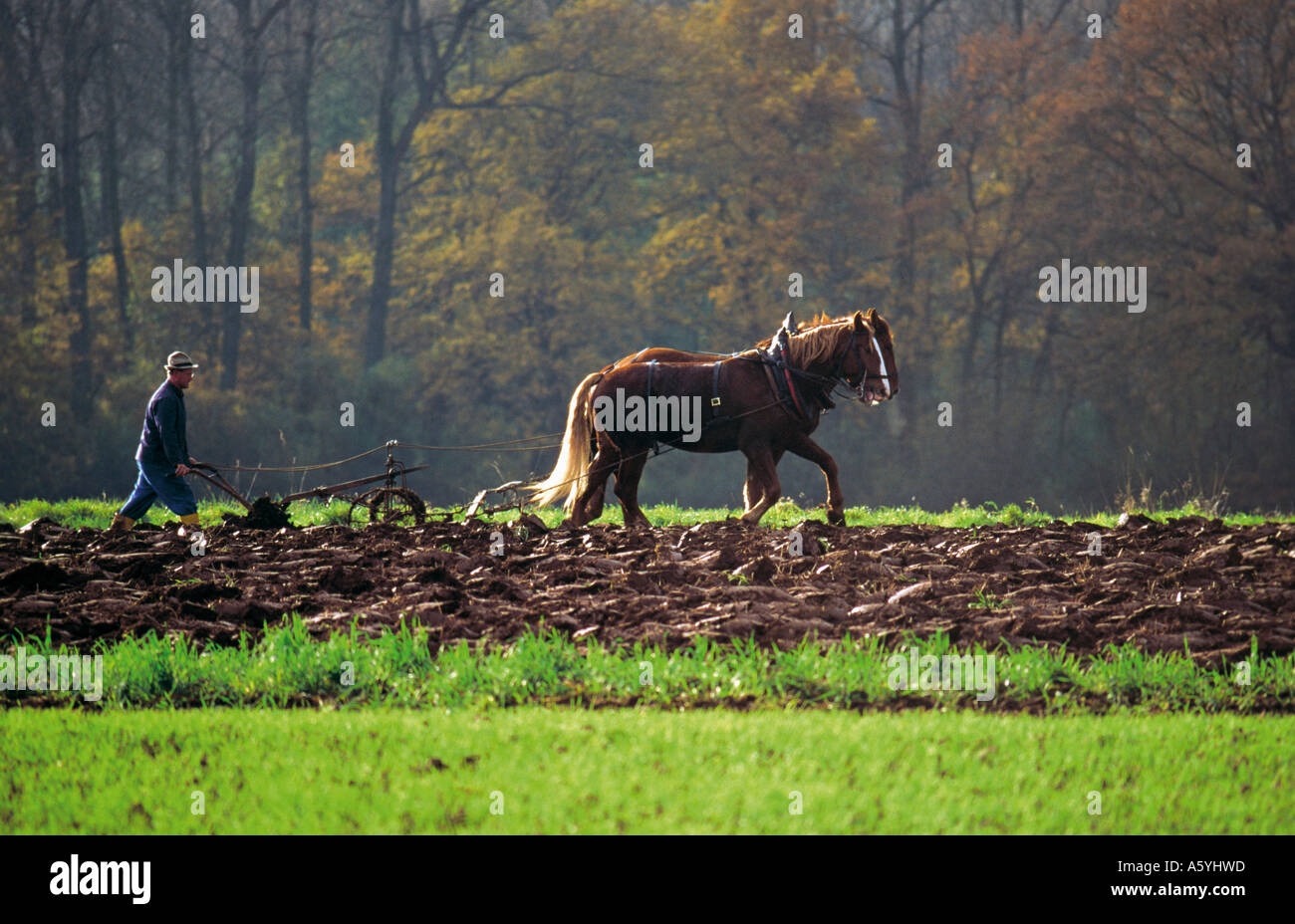 Ploughing field hi-res stock photography and images - Alamy