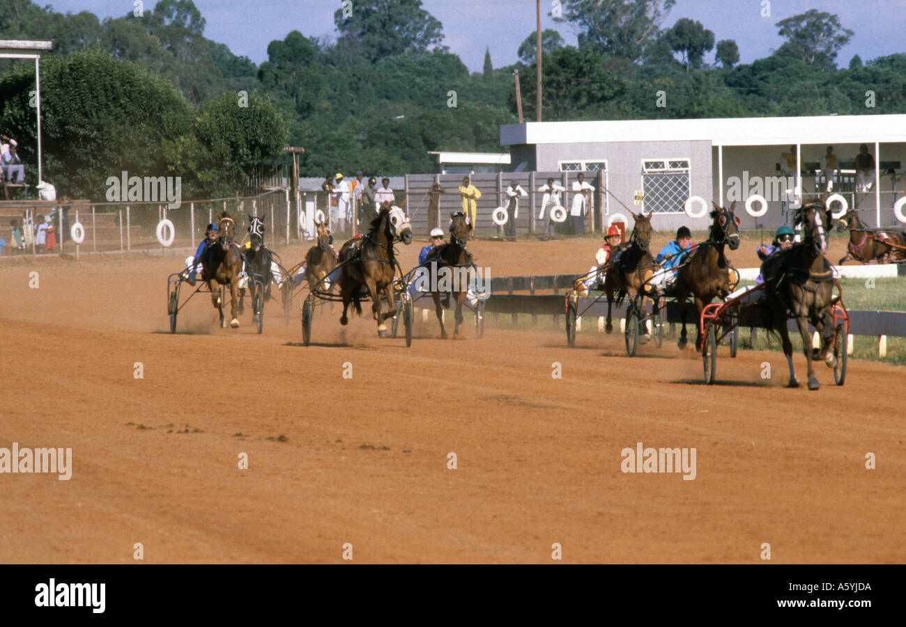 ZIMBABWE RHODESIA AFRICA SALISBURY HARARE TROTTING RACES Stock Photo ...