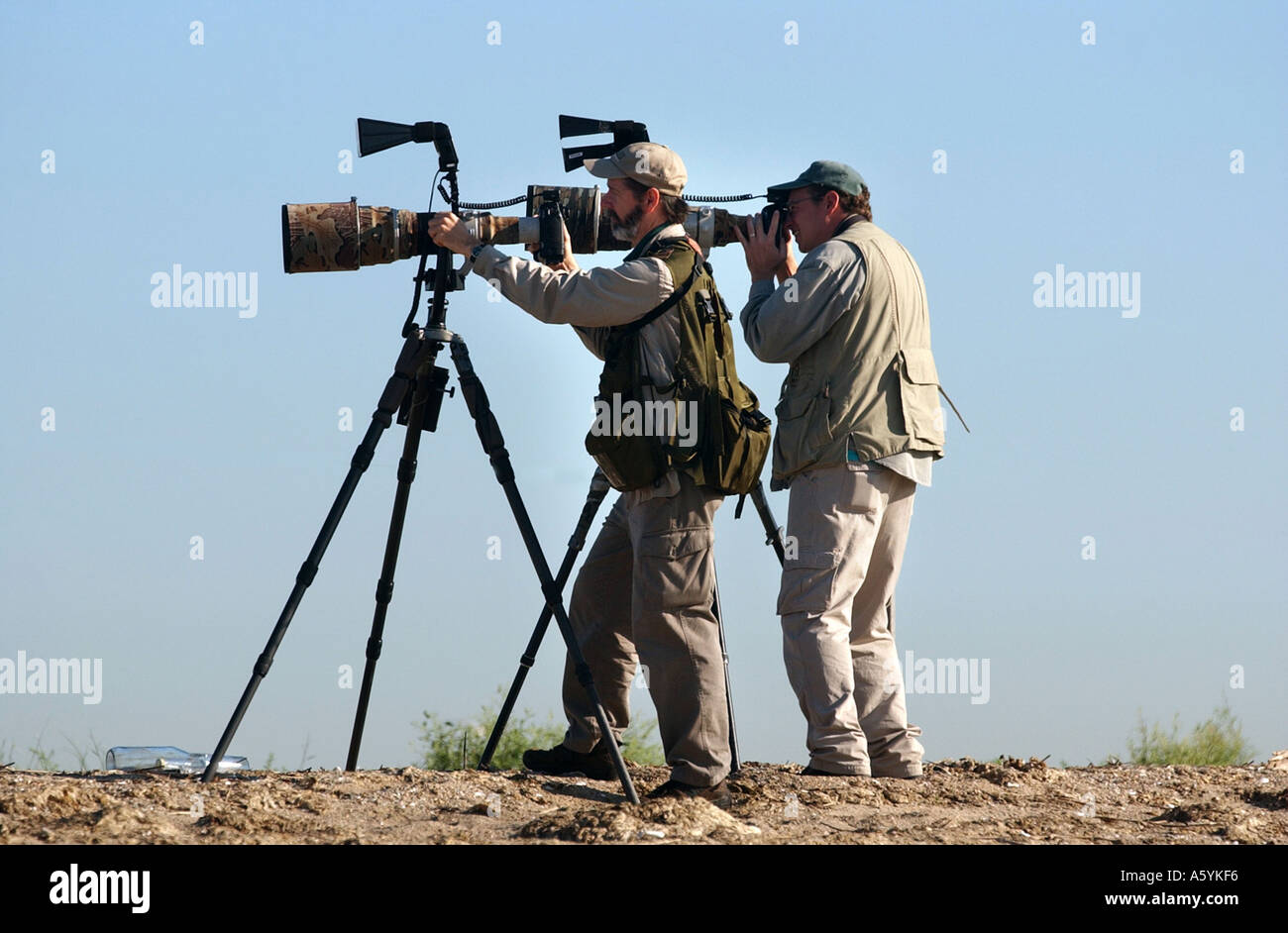 Bird photographers with massive lenses hunt their prey along the beach ...