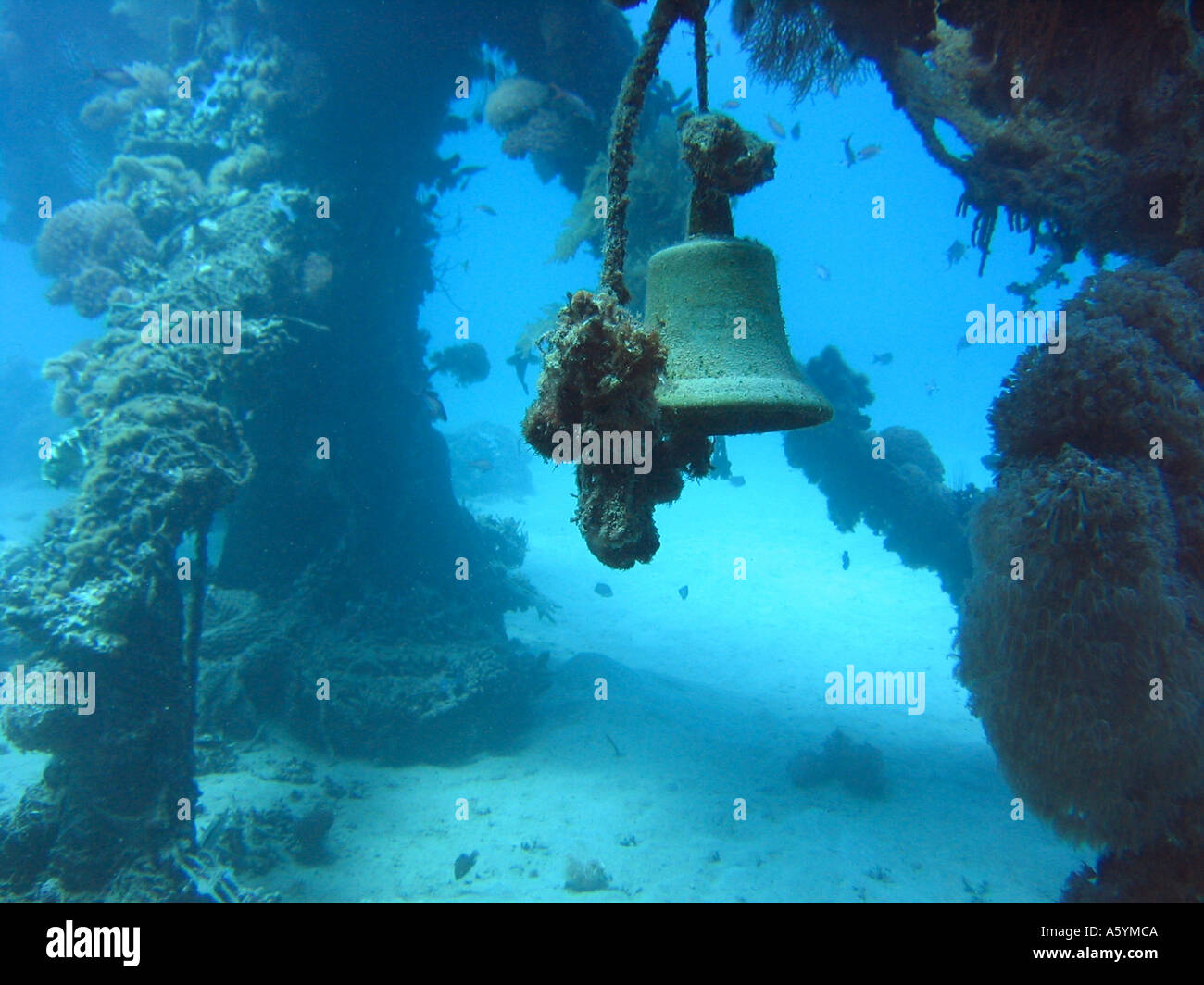 bell at sea bottom Stock Photo - Alamy