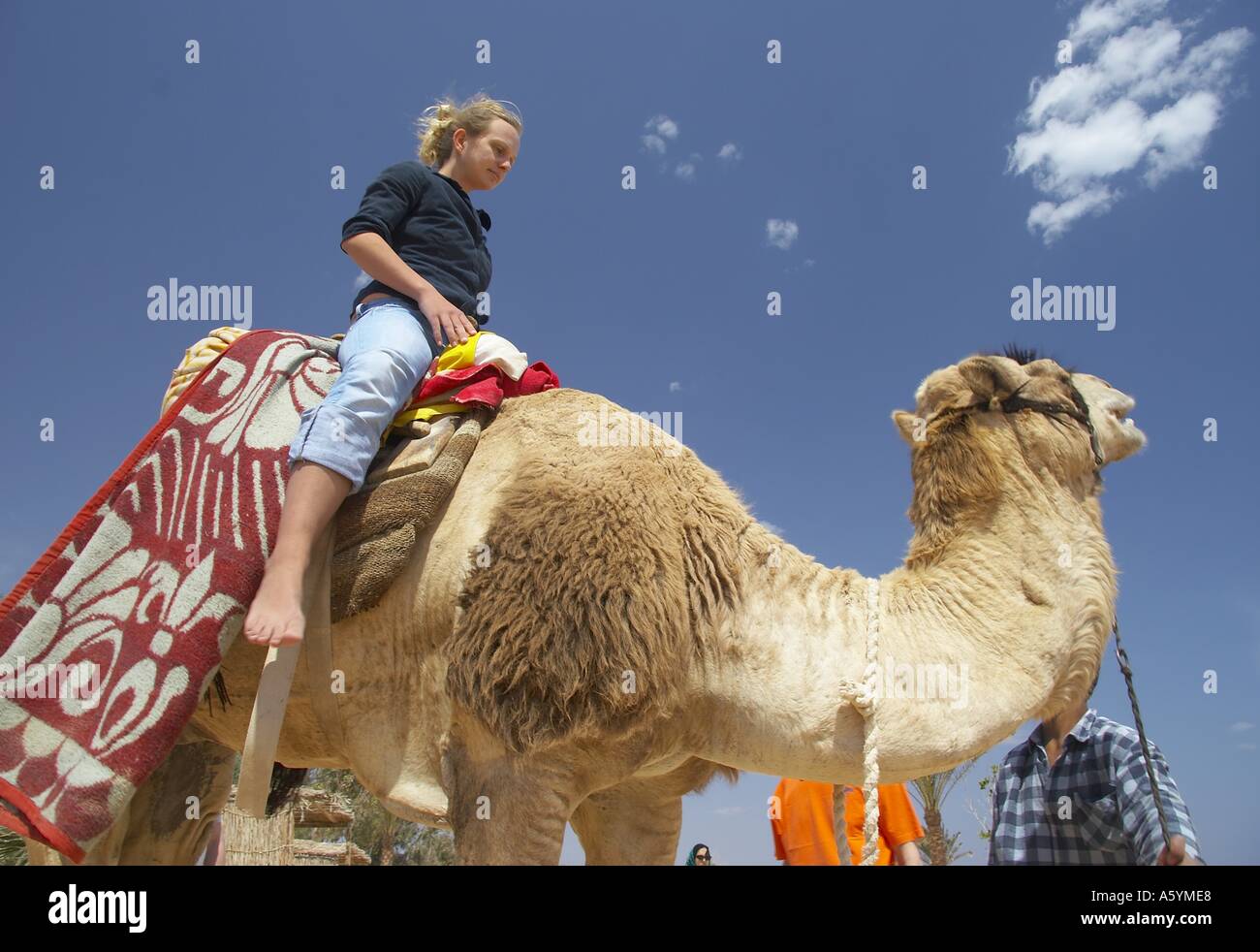 Camel horse riding hi-res stock photography and images - Alamy