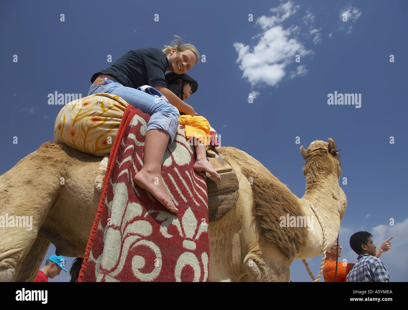 hippo therapy with camel / camel riding Stock Photo - Alamy