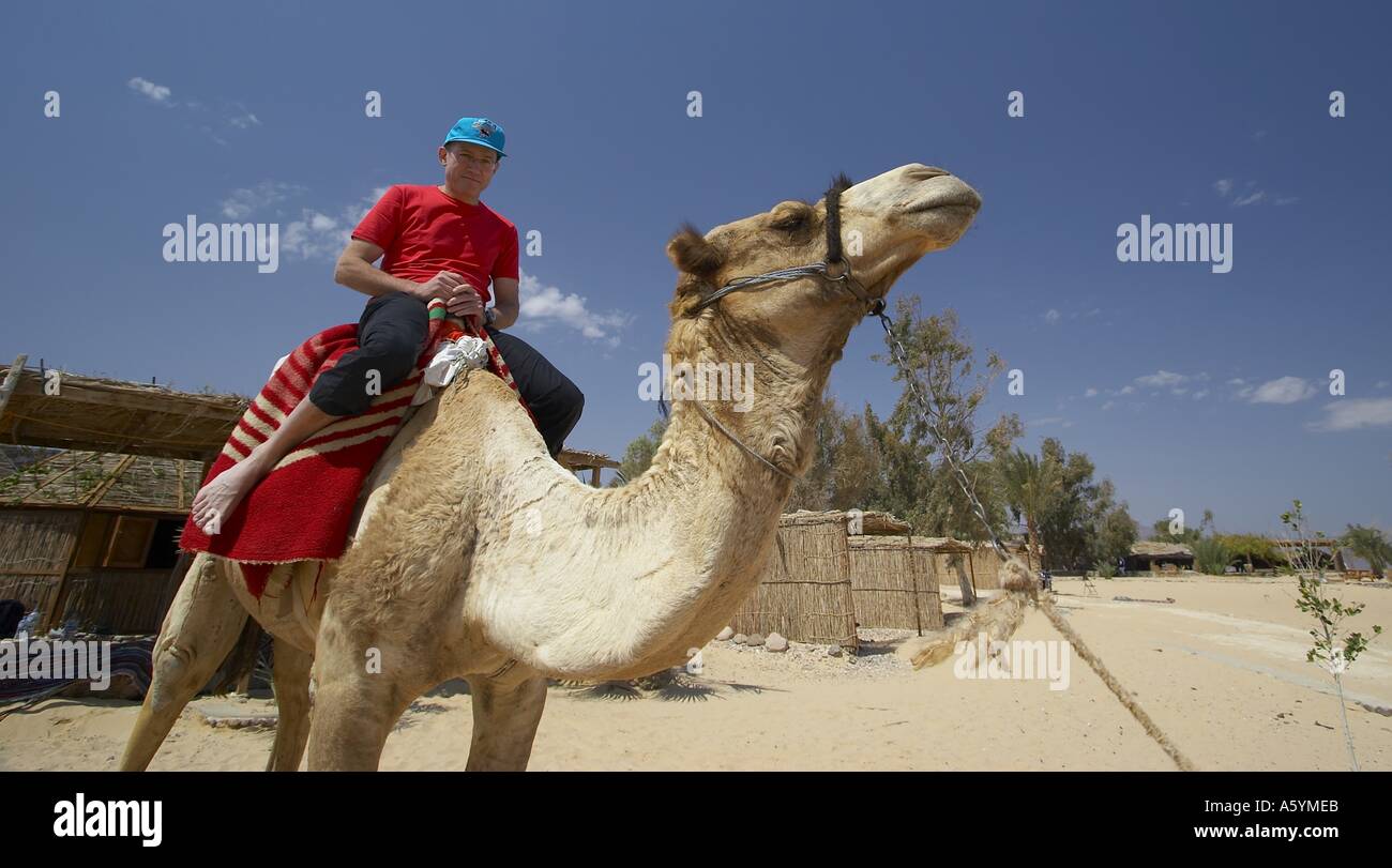 Camel horse riding hi-res stock photography and images - Alamy