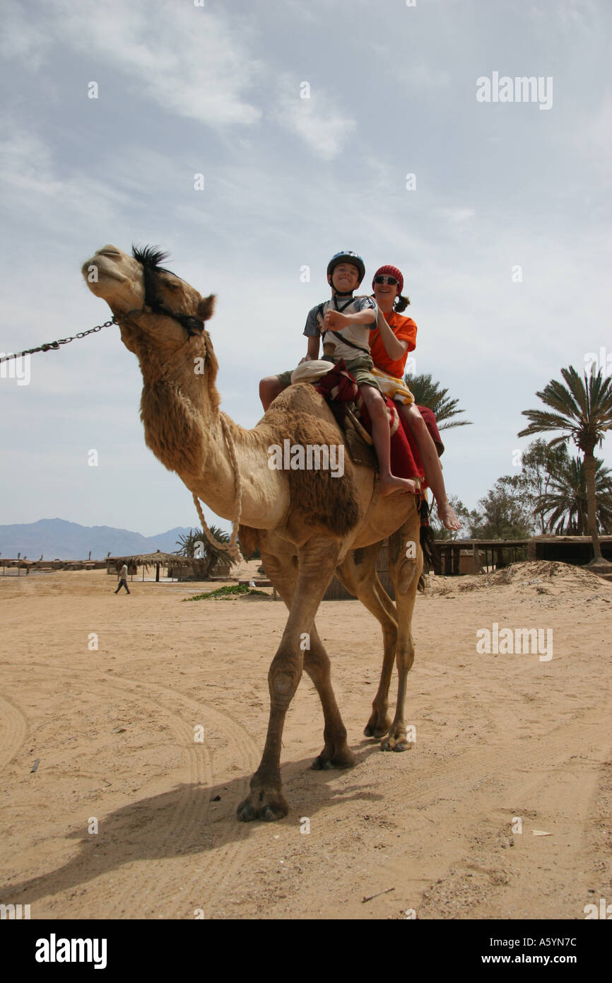 hippo therapy with camel / camel riding Stock Photo - Alamy