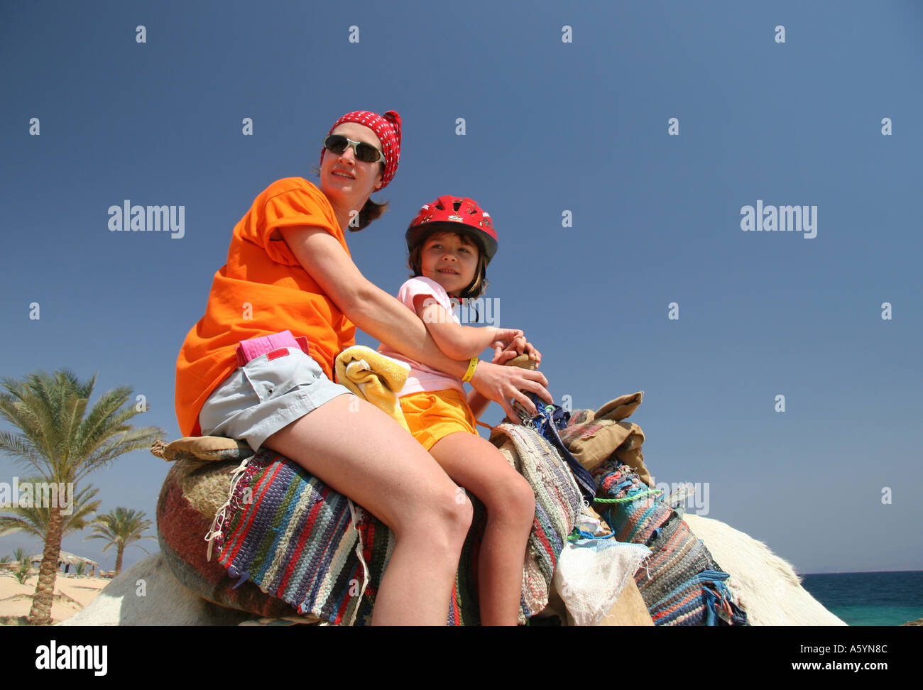 hippo therapy with camel / camel riding Stock Photo - Alamy